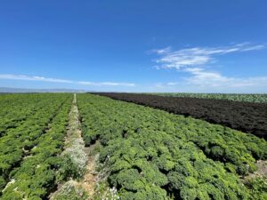 Proposition 4 Resources Hub - TOGETHER Bay Area